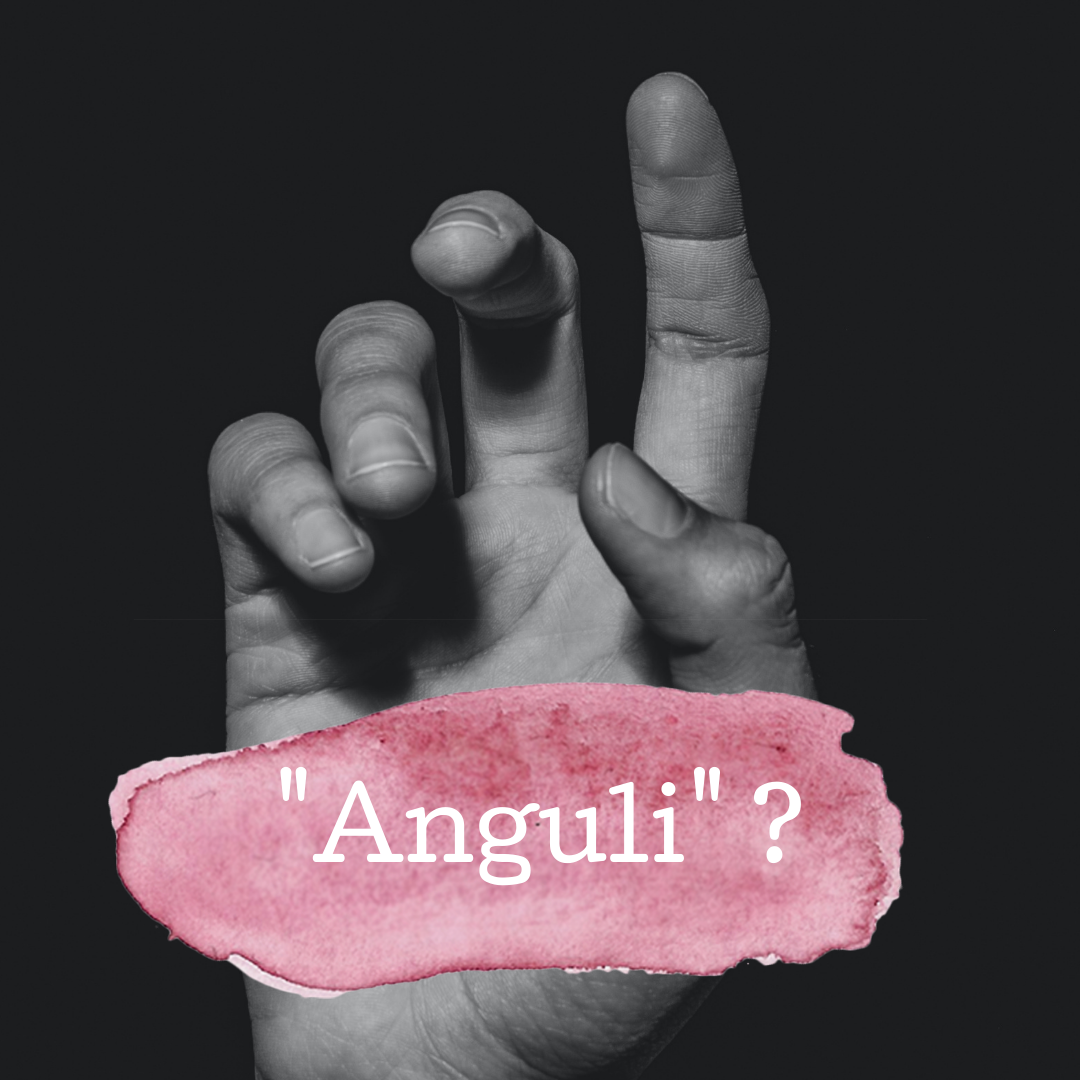 Anguli